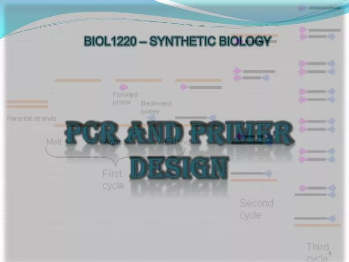 PPT - PCR AND PRIMER DESIGN PowerPoint Presentation, free download - ID ...