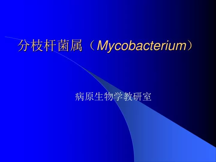 PPT - 分枝杆菌属（ Mycobacterium ） PowerPoint Presentation, free download ...