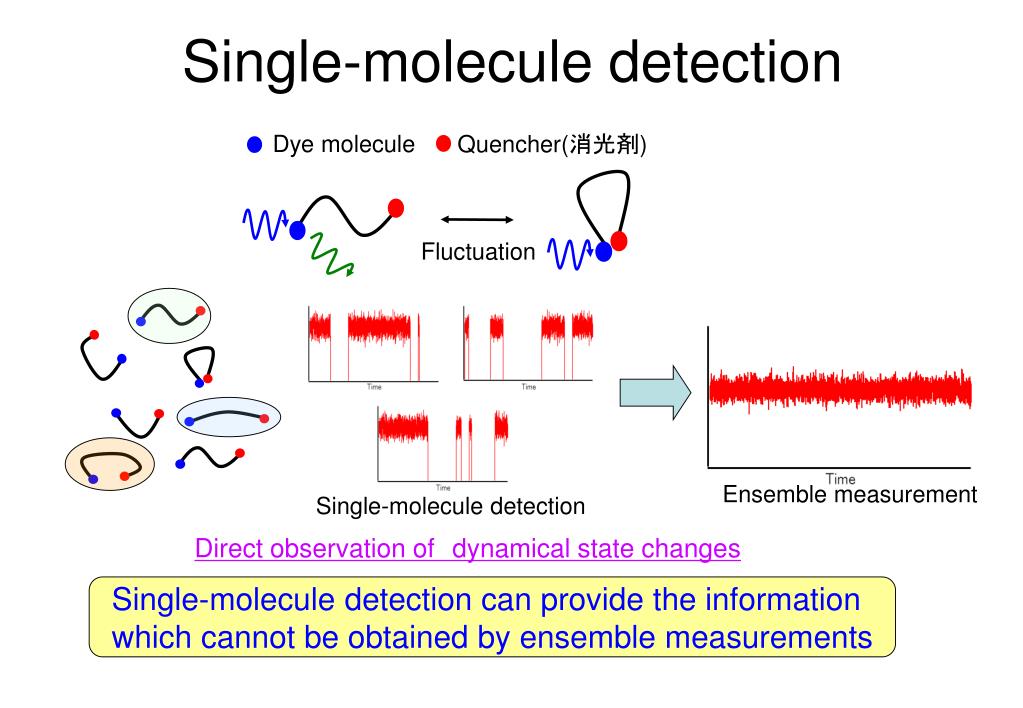 PPT - A diamond nanowire single-photon source PowerPoint Presentation ... PPT - A diamond nanowire single-photon source PowerPoint Presentation ...
