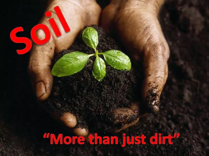 PPT - Soil PowerPoint Presentation, free download - ID:5085250 PPT - Soil PowerPoint Presentation, free download - ID:5085250