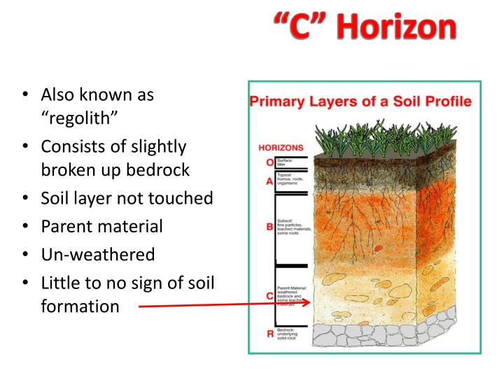 PPT - Soil PowerPoint Presentation - ID:5085250
