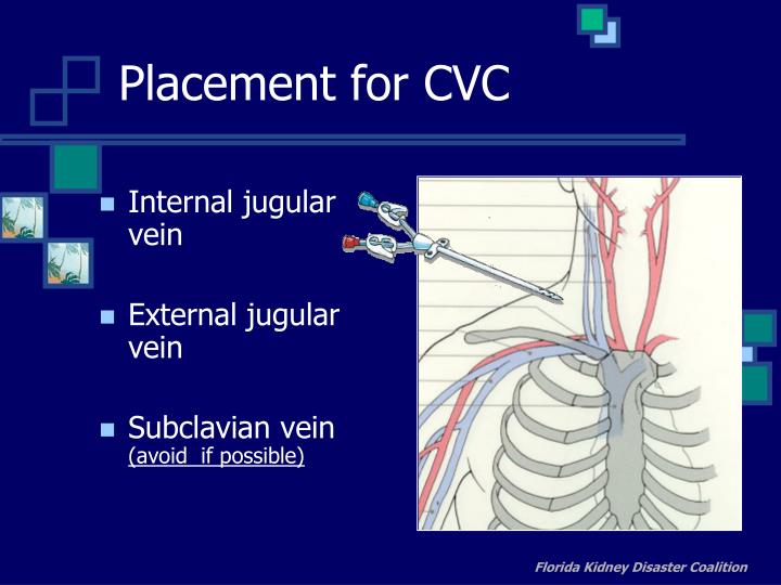 PPT - Chronic Renal Failure Patients PowerPoint Presentation - ID:5086169