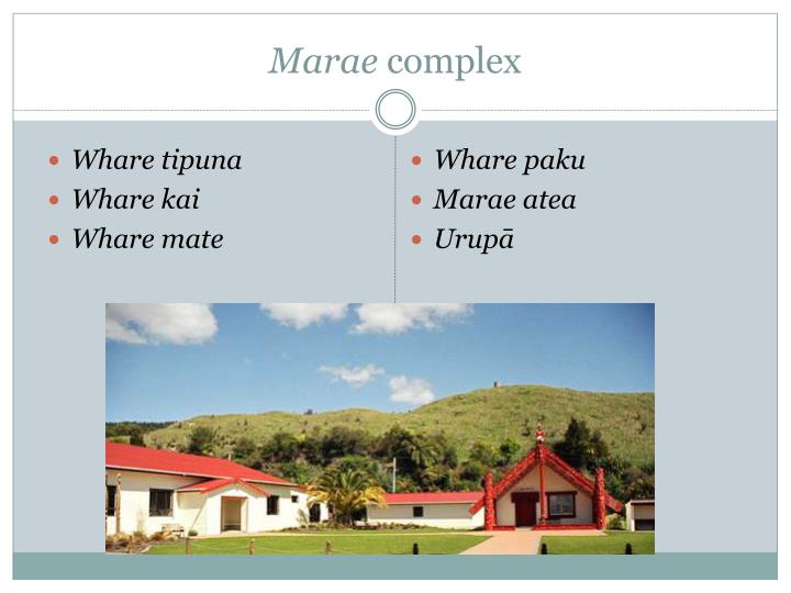 PPT - Ngā tikanga o te marae PowerPoint Presentation - ID:5087125