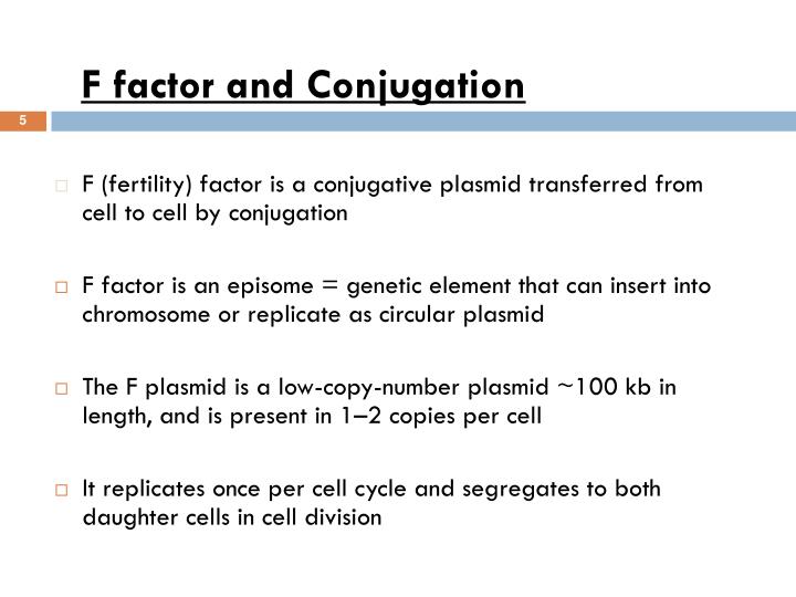 PPT - Bacterial Recombination PowerPoint Presentation - ID:5087174