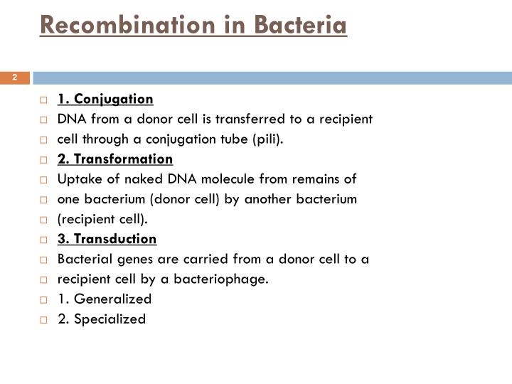 PPT - Bacterial Recombination PowerPoint Presentation - ID:5087174