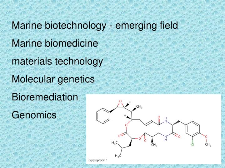 PPT - Marine Biotechnology PowerPoint Presentation - ID:5088335