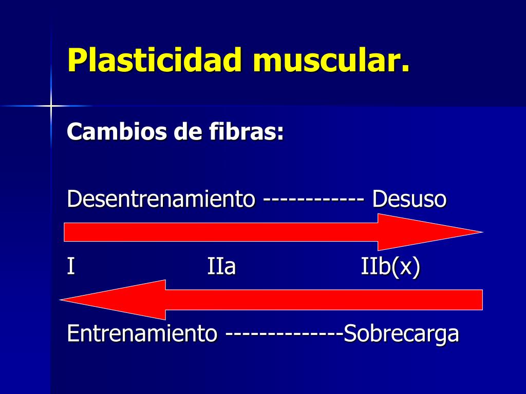 PPT - TALLER DE PLASTICIDAD MUSCULAR PowerPoint Presentation, free ...