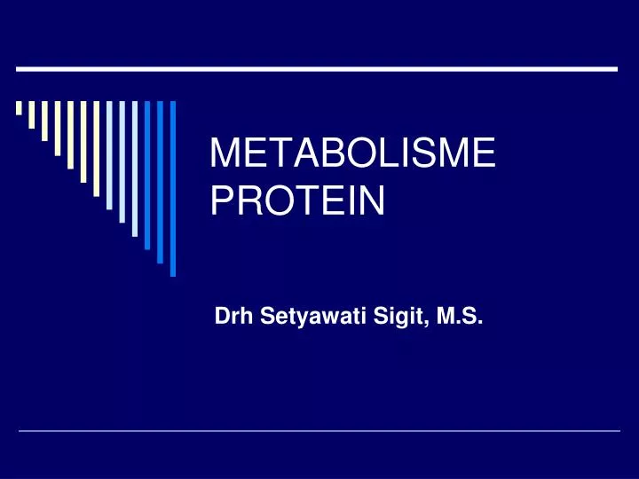PPT - METABOLISME PROTEIN PowerPoint Presentation, free download - ID ...