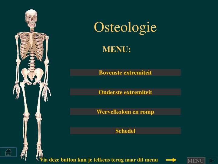 PPT - OSTEOLOGIE PowerPoint Presentation - ID:5090650