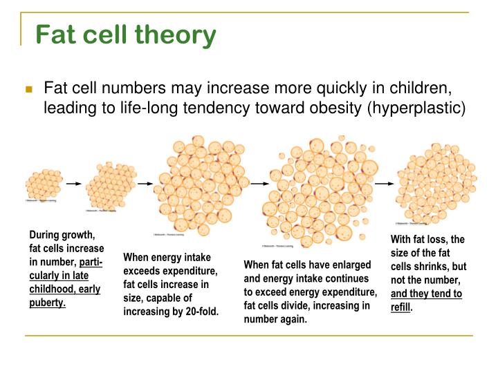 PPT - Eating behaviors are complex PowerPoint Presentation - ID:5093227