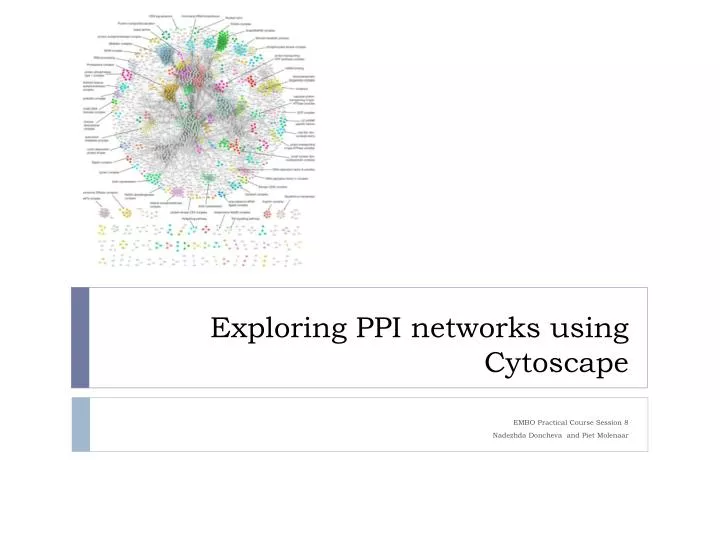 PPT - Exploring PPI networks using Cytoscape PowerPoint Presentation ...