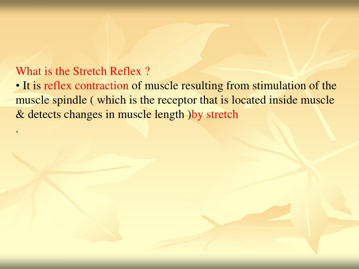 PPT - What is the Stretch Reflex ? PowerPoint Presentation - ID:5096206