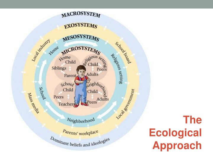 PPT - Ecological Systems Theory PowerPoint Presentation - ID:5096575