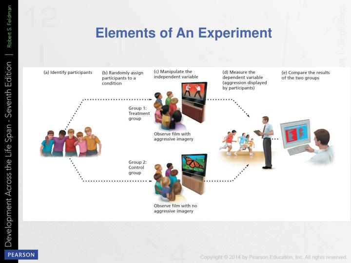 PPT - An Introduction to Lifespan Development PowerPoint Presentation ...