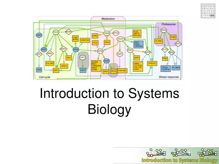 PPT - Introduction to Systems Biology PowerPoint Presentation, free ... PPT - Introduction to Systems Biology PowerPoint Presentation, free ...