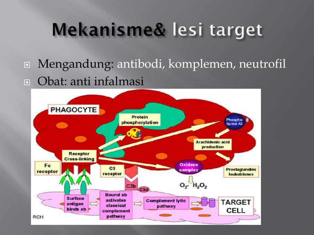 PPT - Hipersensiti vitas (alergi) PowerPoint Presentation, free ...