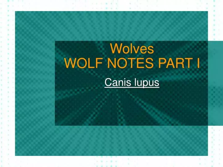 PPT - Wolves WOLF NOTES PART I PowerPoint Presentation, free download ...
