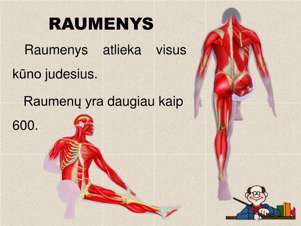 PPT - Dalykas, ugdymo sritis: Tema: Klasė: Priemonės paskirtis ...