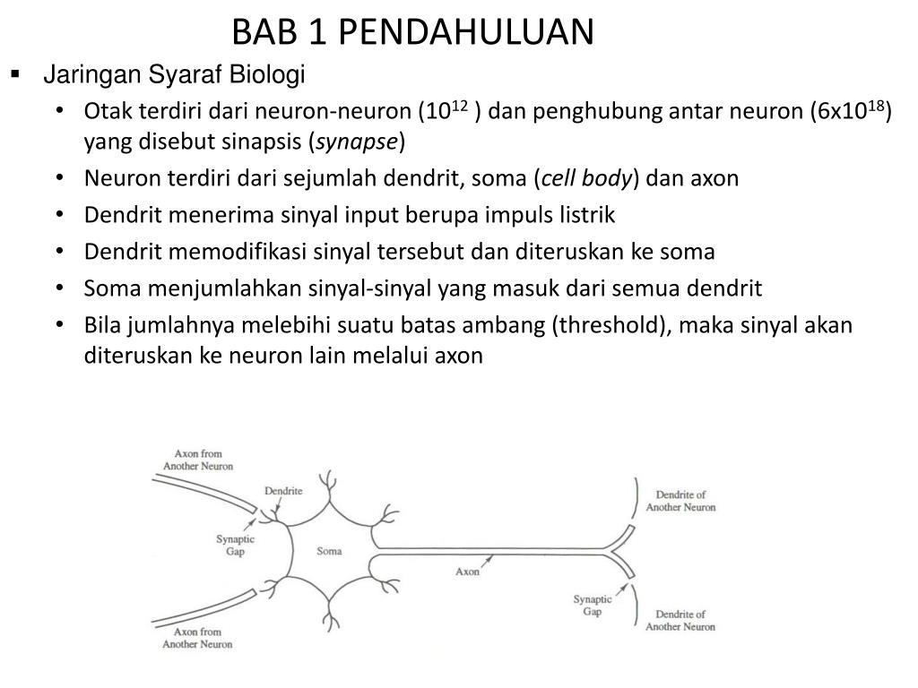 PPT - JARINGAN SYARAF TIRUAN PowerPoint Presentation, free download ... PPT - JARINGAN SYARAF TIRUAN PowerPoint Presentation, free download ...