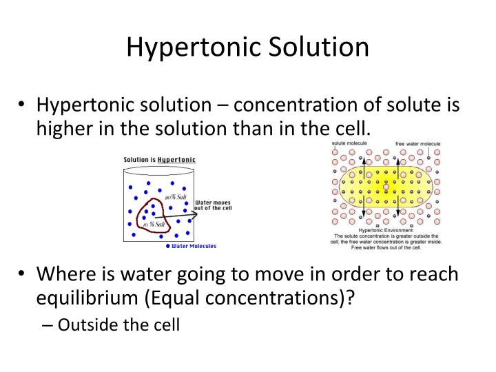 PPT - Chapter 7.3 Cell Transport PowerPoint Presentation - ID:5105035