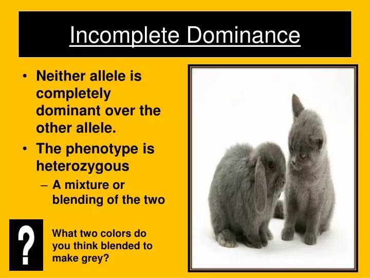 PPT - Incomplete Dominance PowerPoint Presentation, free download - ID ...