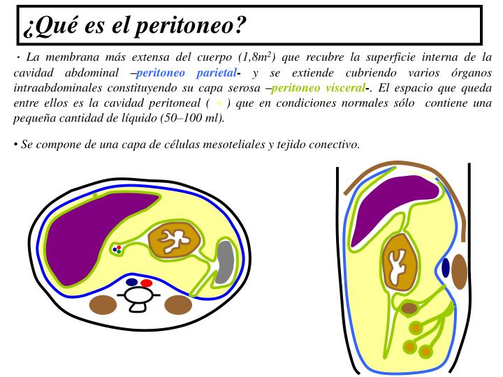 PPT - Claves para el Diagnóstico de Patología Peritoneal mediante TC ...