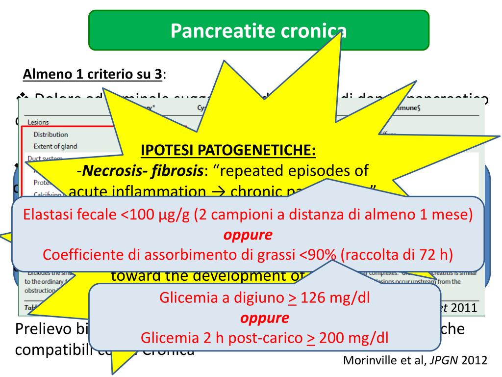 PPT - Protocollo diagnostico-terapeutico delle pancreatiti croniche ...