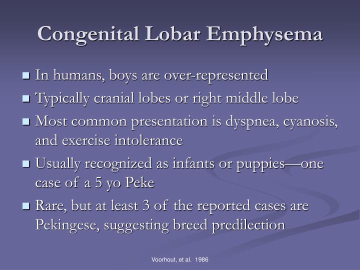 PPT - Congenital Lobar Emphysema PowerPoint Presentation - ID:5115793