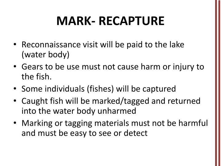 PPT - FISHERIES POPULATION DYNAMICS PowerPoint Presentation - ID:5118710