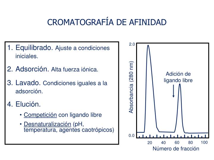 PPT - CROMATOGRAFÍA PowerPoint Presentation - ID:5119324