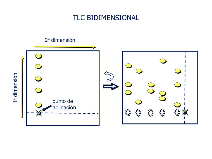 PPT - CROMATOGRAFÍA PowerPoint Presentation - ID:5119324