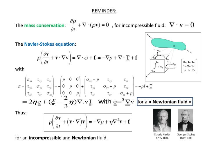 PPT - Biological fluid mechanics at the micro‐ and nanoscale Lecture 2 ...
