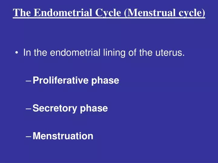 Endometrium Menstrual Period