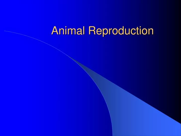 PPT - Animal Reproduction PowerPoint Presentation, free download - ID ...