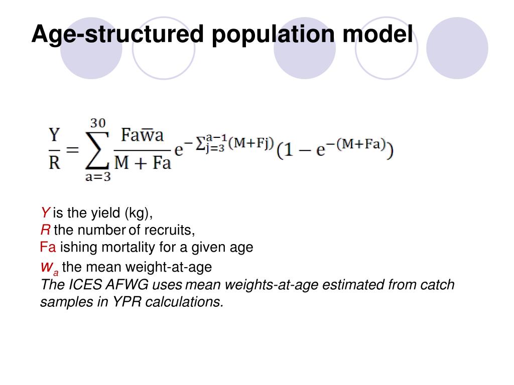 PPT - Cecilie Kvamme and Bjarte Bogstad PowerPoint Presentation, free ...