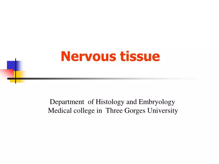 PPT - Nervous tissue PowerPoint Presentation, free download - ID:5120798