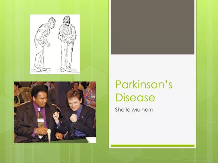 PPT - Parkinson’s Disease PowerPoint Presentation, free download - ID ...