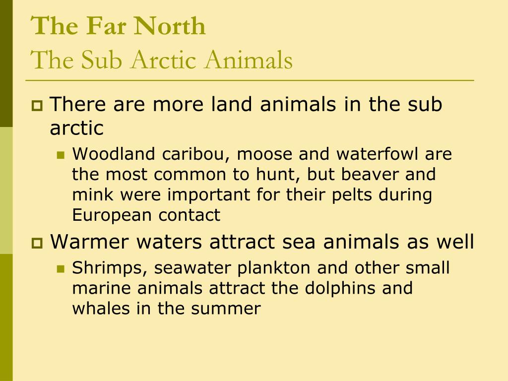 PPT - Archaeology of North America PowerPoint Presentation, free ...