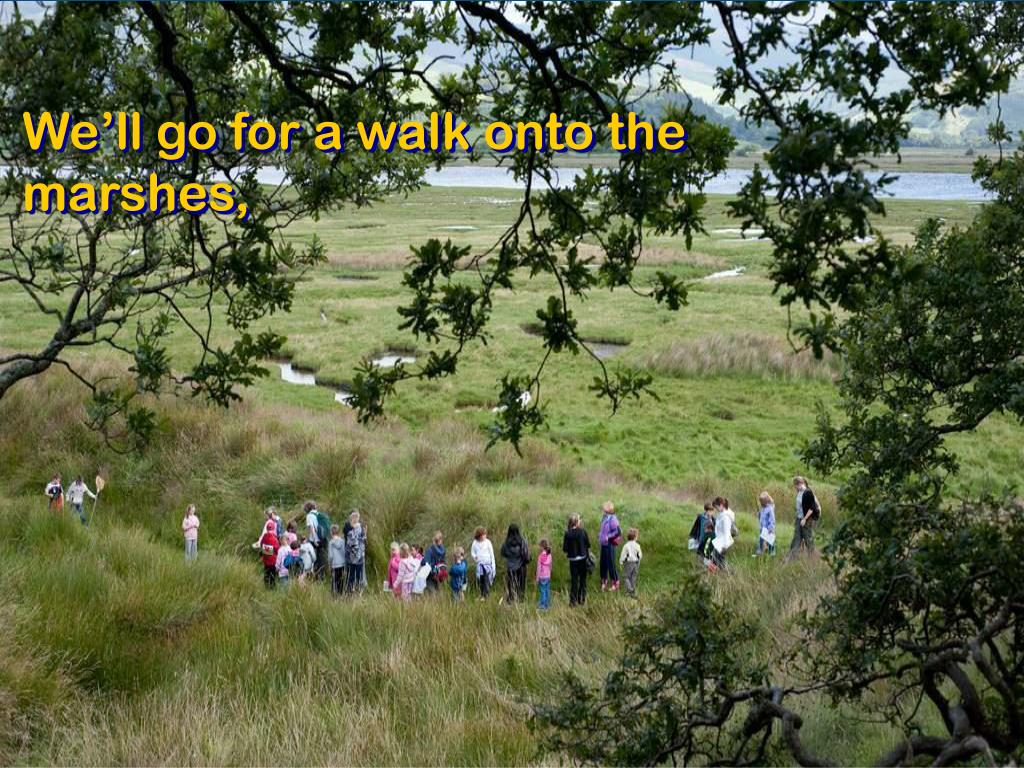 PPT - You are going to visit the RSPB’s National Nature Reserve at Insh ...