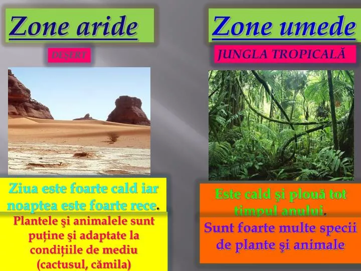 PPT - Zone aride PowerPoint Presentation, free download - ID:5124914