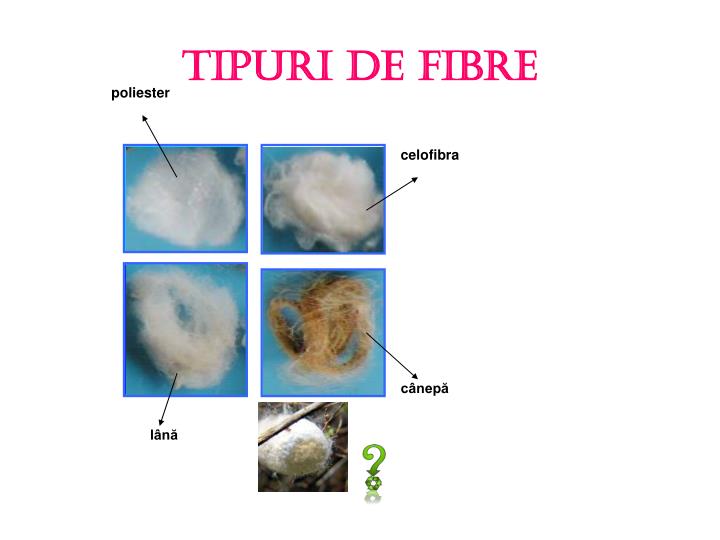PPT - MATERII PRIME FOLOSITE IN INDUSTRIA TEXTILA PowerPoint ...