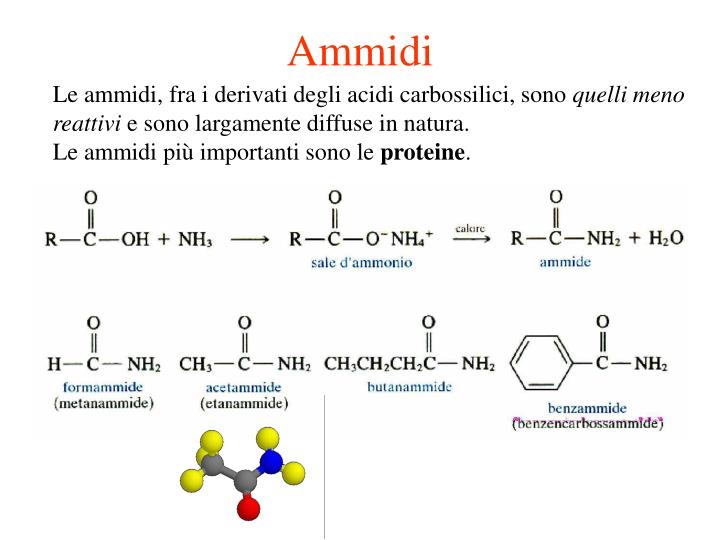PPT - ACIDI CARBOSSILICI PowerPoint Presentation - ID:5127799
