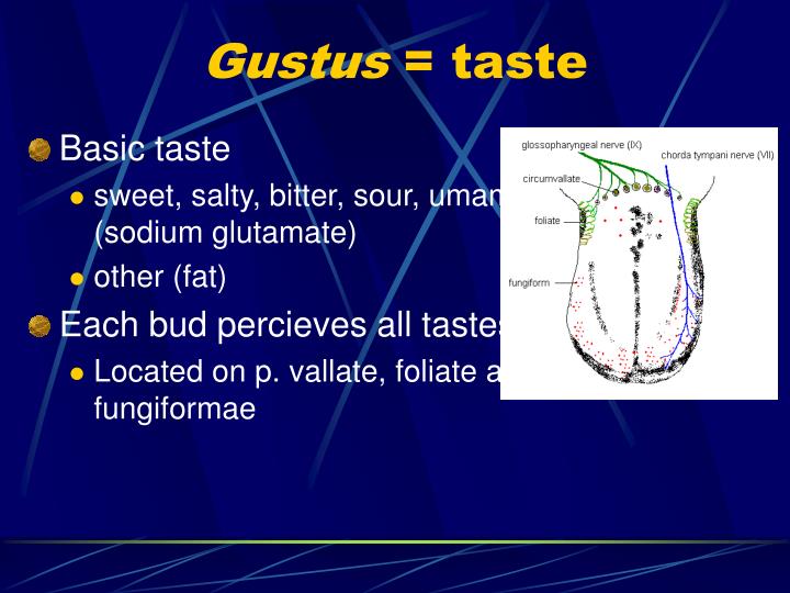 PPT - Taste and olfaction PowerPoint Presentation - ID:5128073