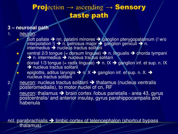 PPT - Taste and olfaction PowerPoint Presentation - ID:5128073