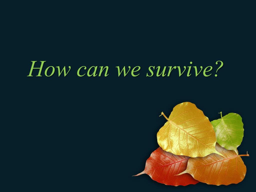 PPT - Awareness of the Anatomy and Physiology of the Human Body ...