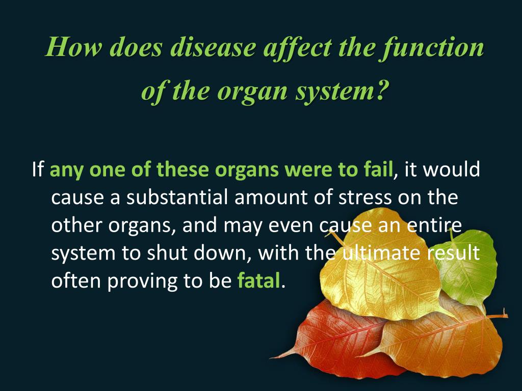 PPT - Awareness of the Anatomy and Physiology of the Human Body ...