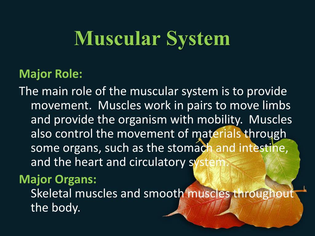 PPT - Awareness of the Anatomy and Physiology of the Human Body ...