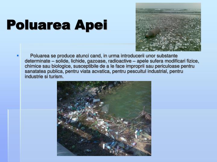 PPT - Poluarea PowerPoint Presentation - ID:5128238