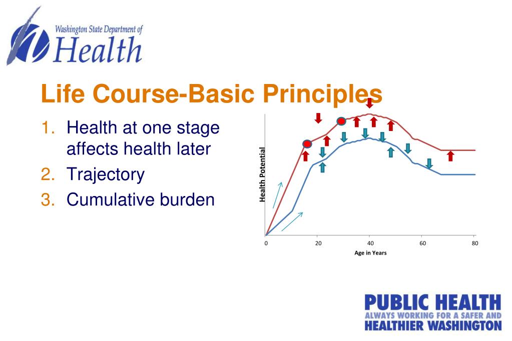 PPT - Lifecourse and Chronic Disease Kathy Chapman, RN, MN April, 26 ...