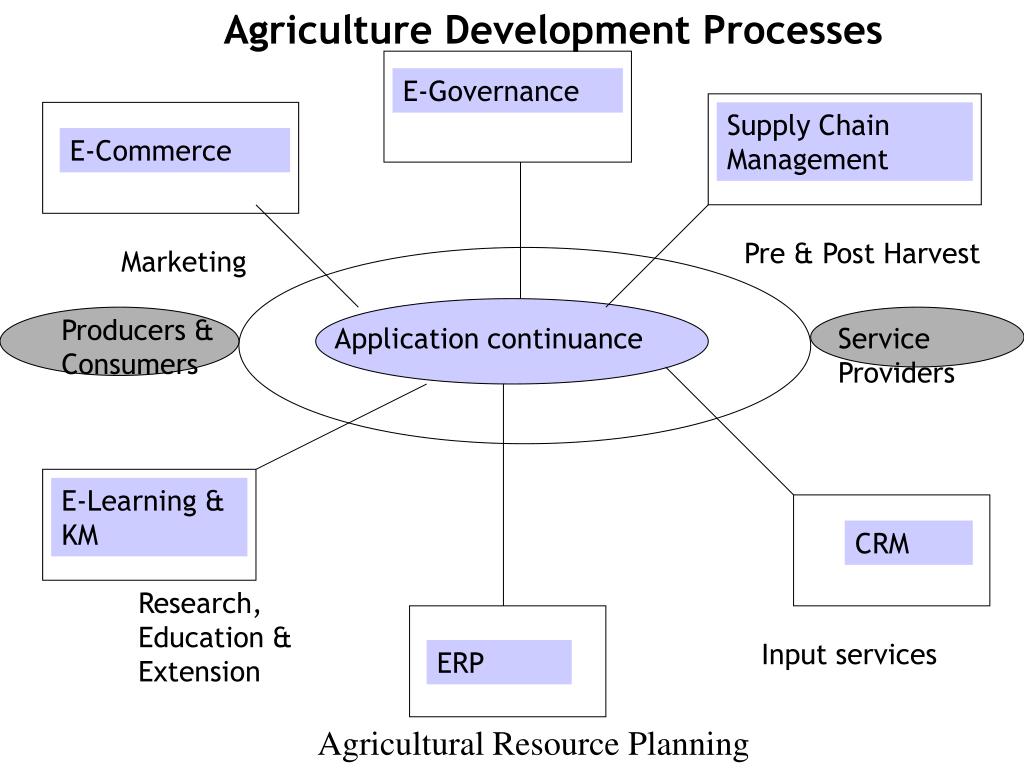 PPT - Designing Information Systems in Agriculture PowerPoint ...